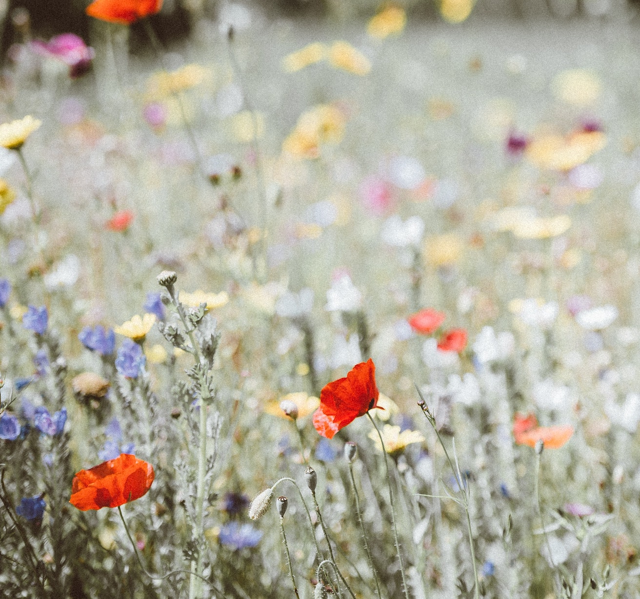 Three Breath Meditation Practices — Awareness of Mind